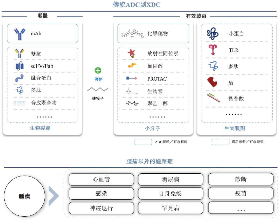 从单抗到双抗、n抗、纳米抗、抗体片段，从CAR-T到万物皆可CAR，从ADC到万物皆可XDC，探索抗 - 儒百生物科技